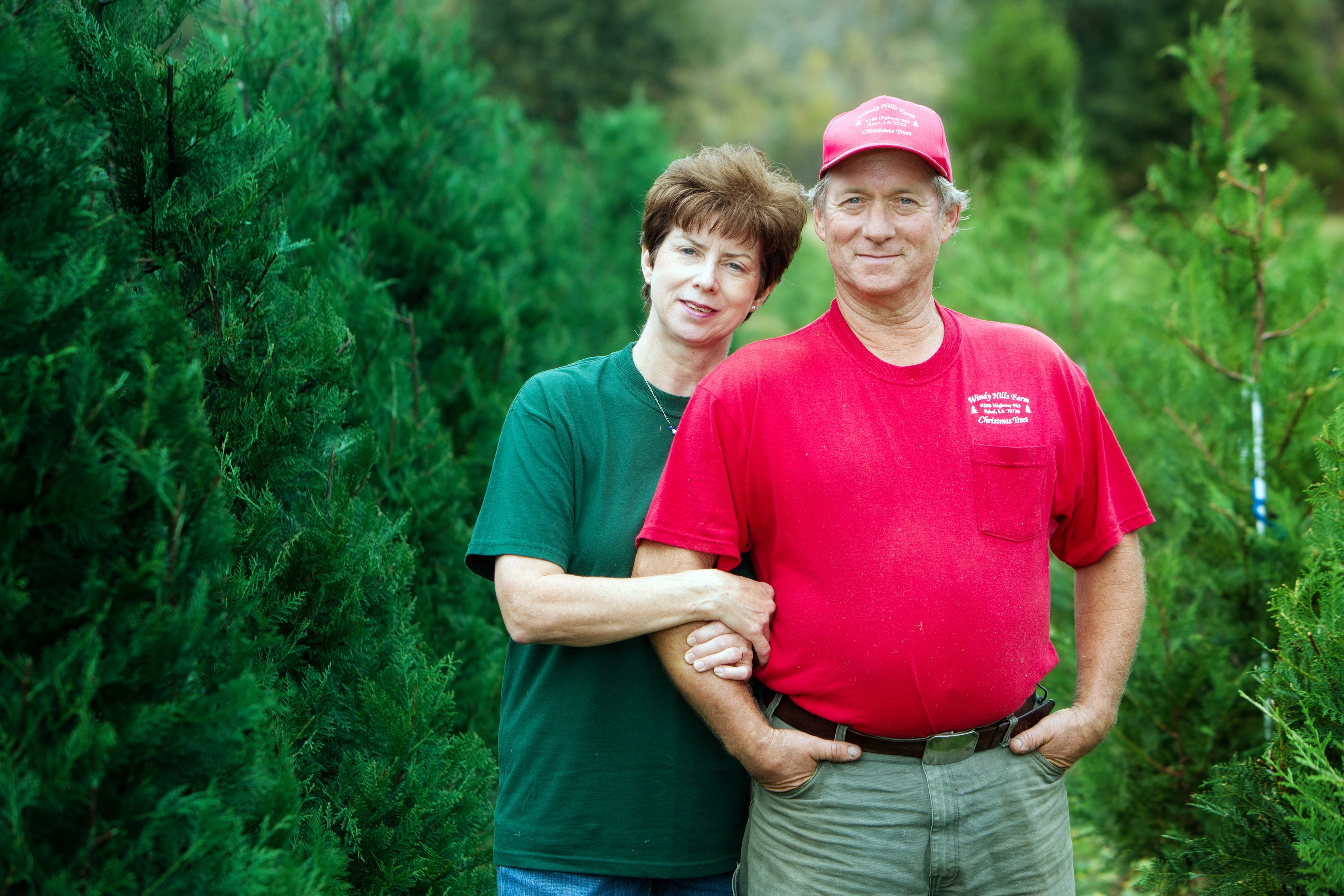 Finding the perfect tree - [225]