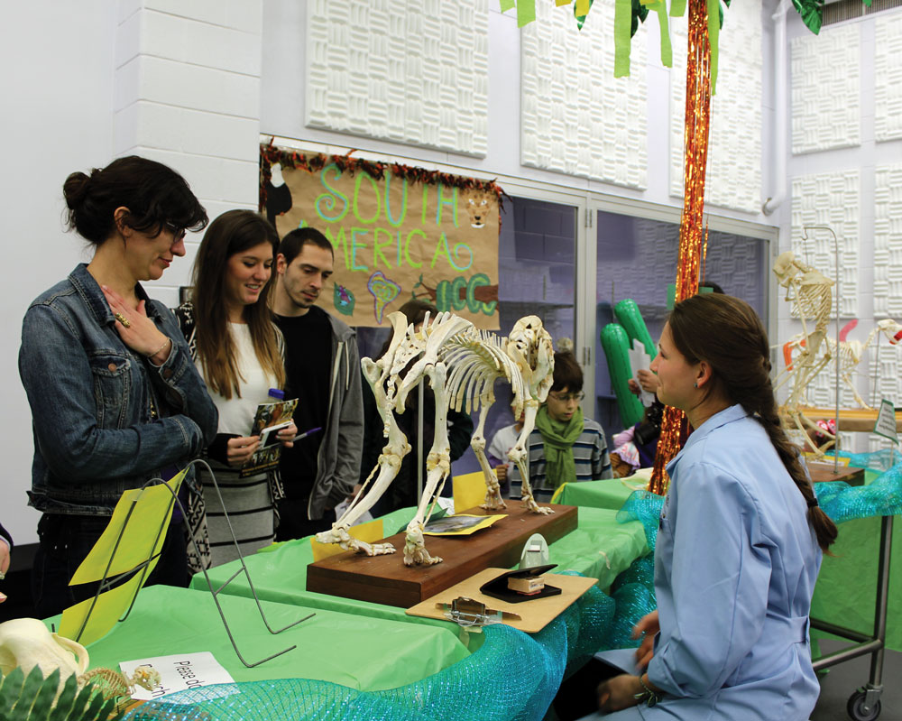 Unleashed: LSU Vet School preps for annual Open House - [225]