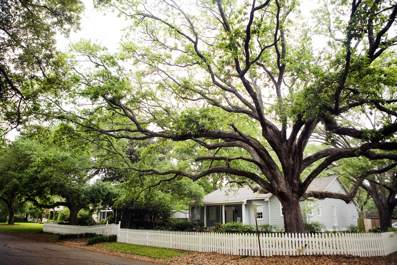 Where to nest: Baton Rouge neighborhood guide - [225]
