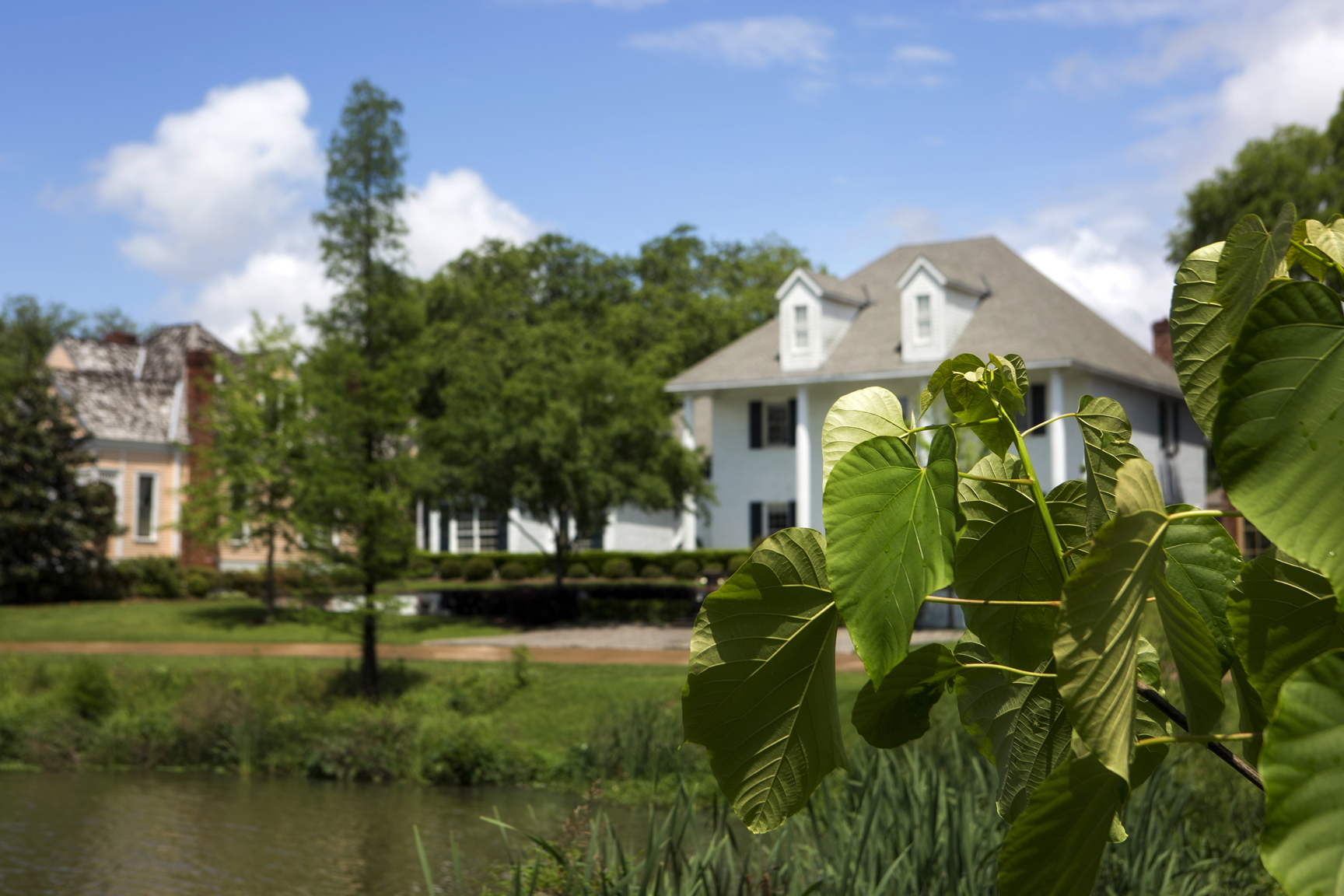 Where to nest: Baton Rouge neighborhood guide - [225]