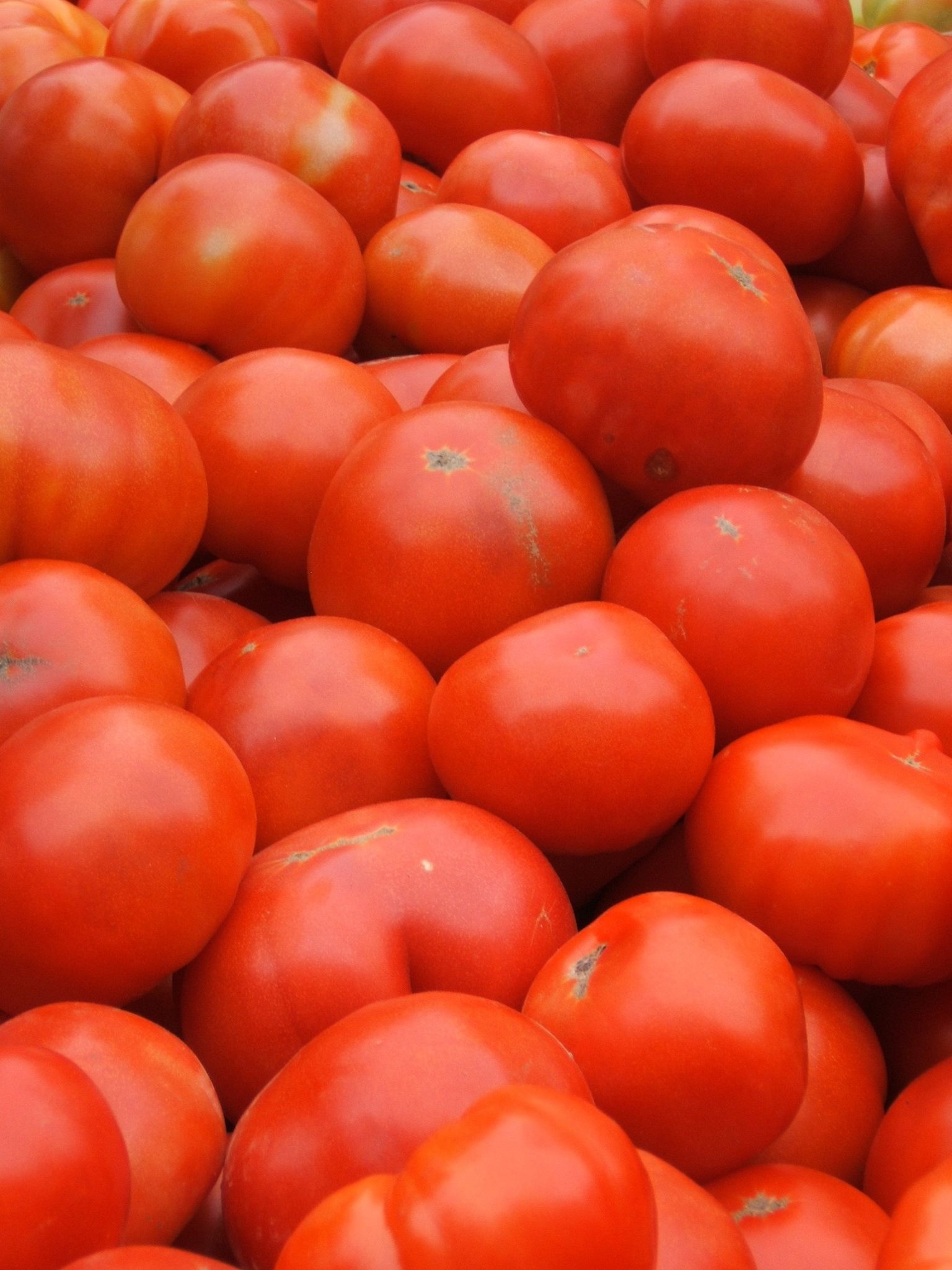 Red Stick Farmers Market celebrates tomatoes this Saturday, June 20