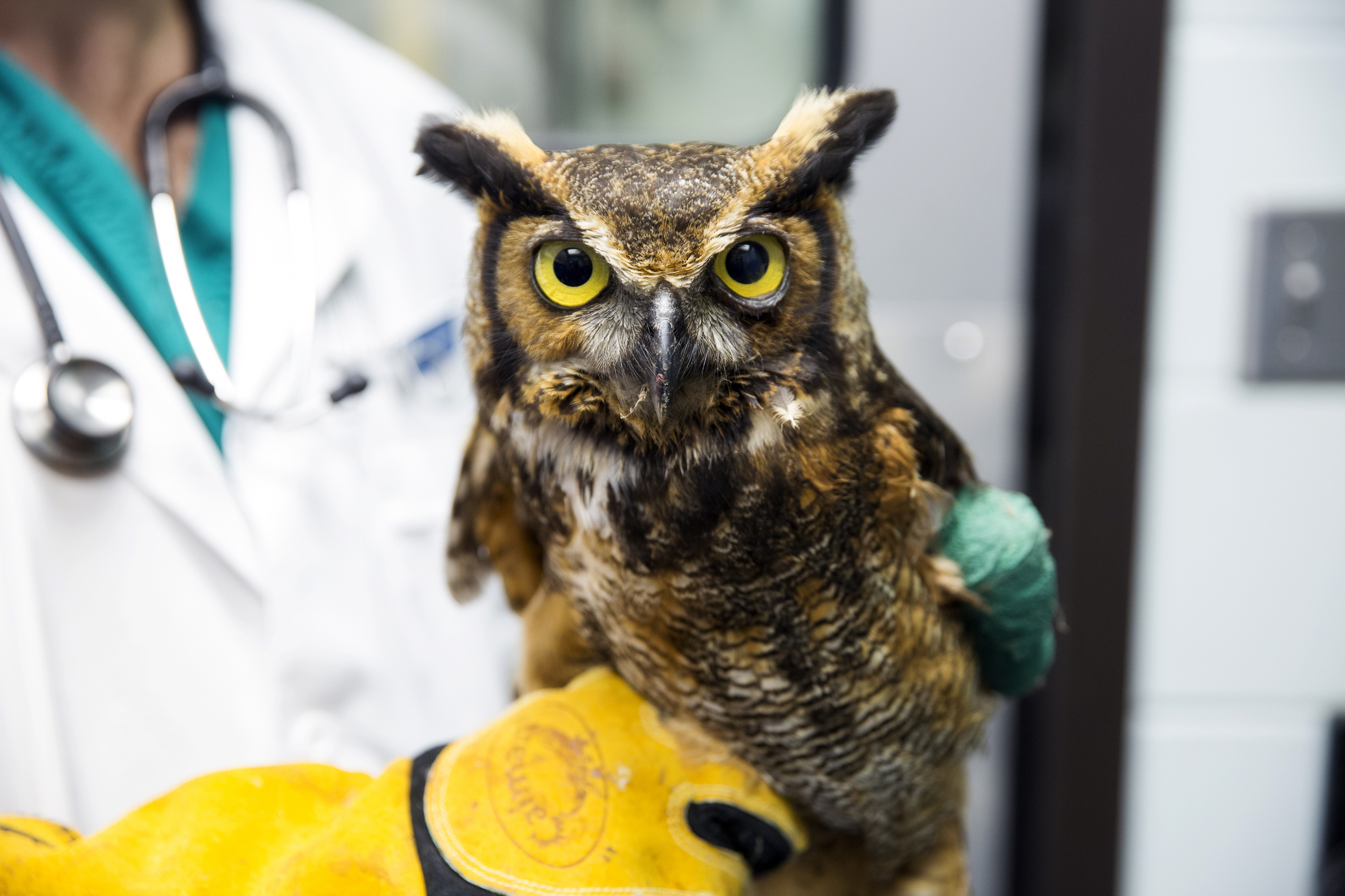 Lisa Roundtree's Instagram, Twitter & Facebook on IDCrawl