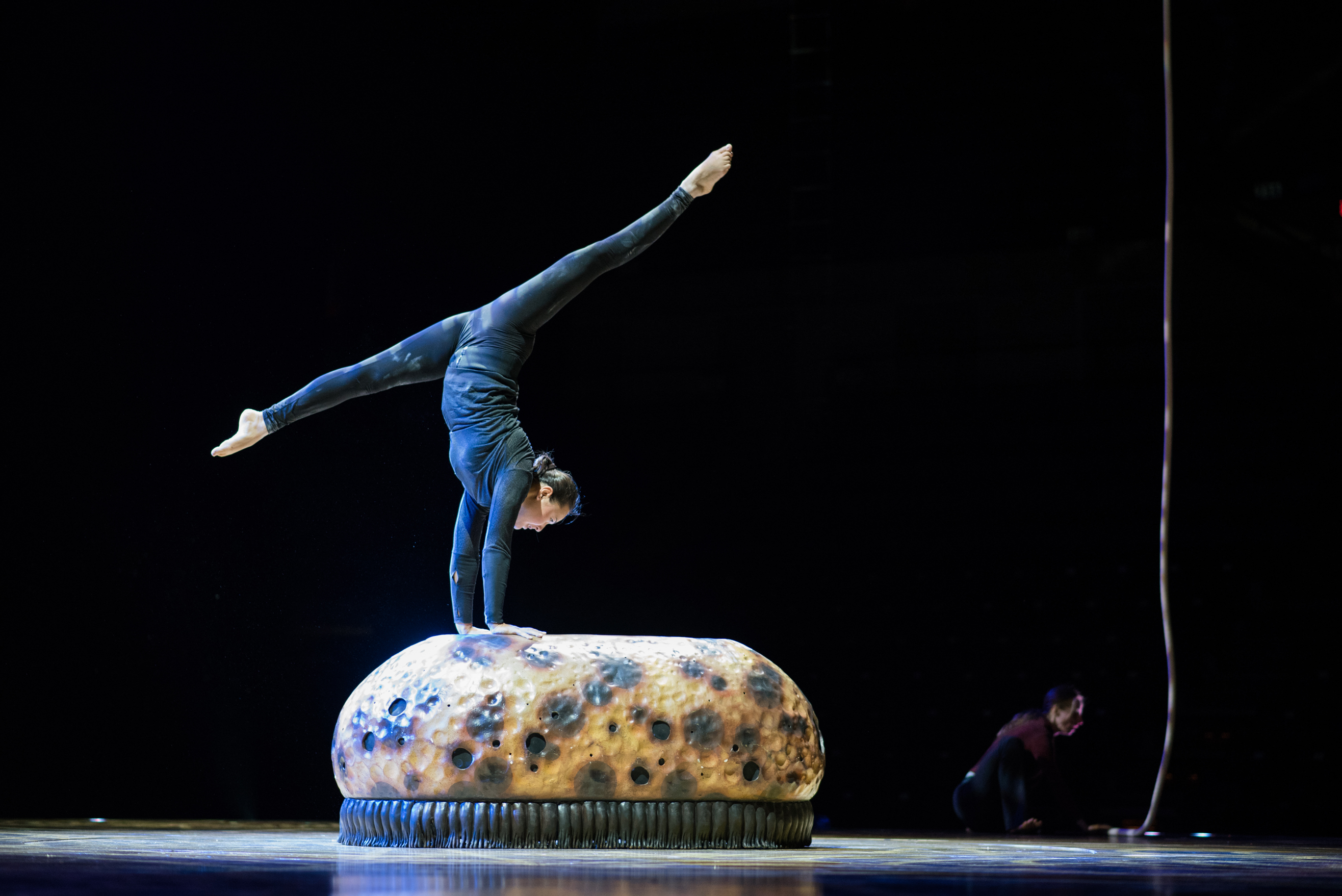 Behind the scenes of Cirque du Soleil’s recent visit to Baton Rouge - [225]