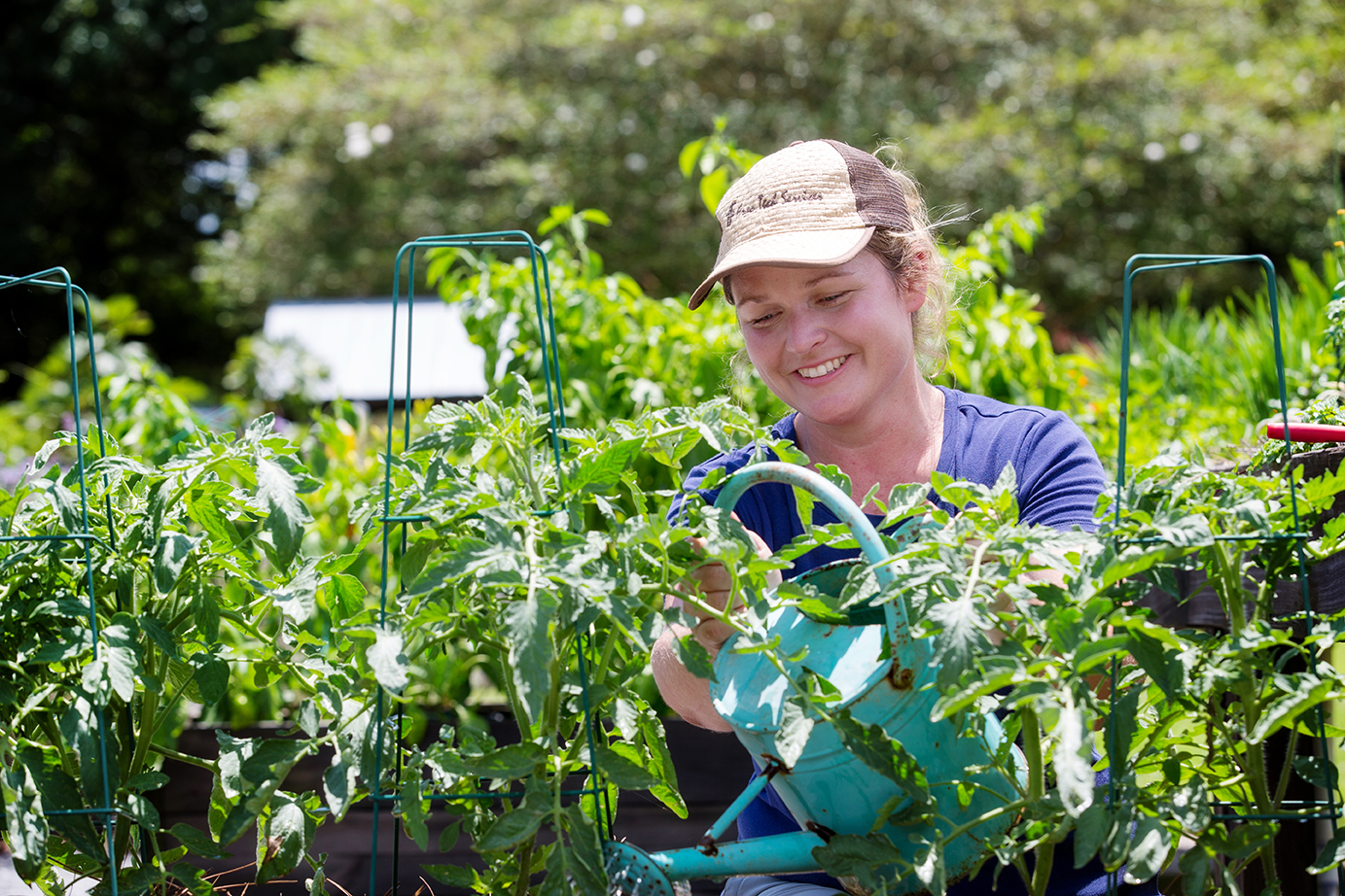 LSU horticulturalist shares how to grow vegetables in small urban yards ...