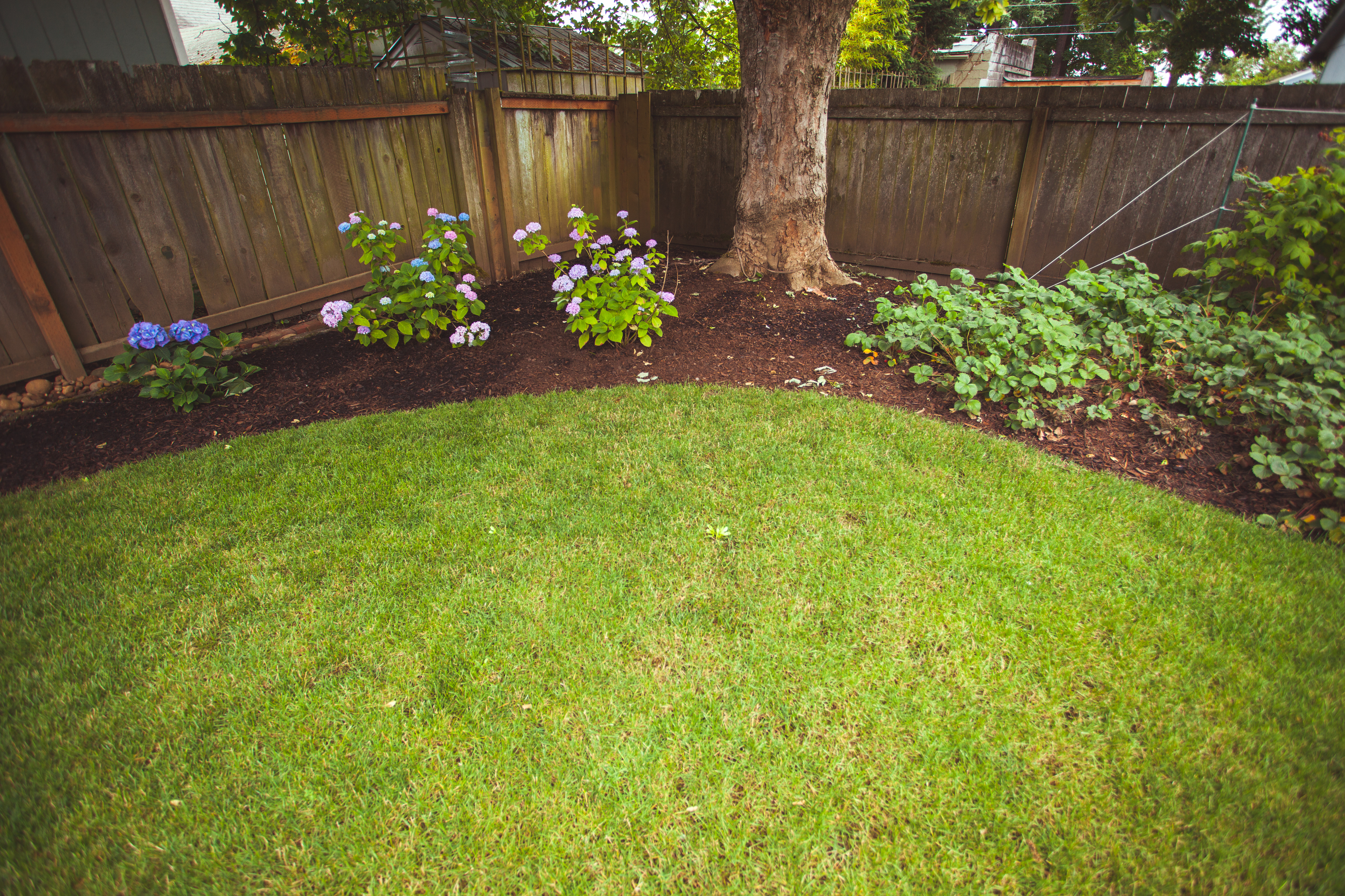 How to create the perfect outdoor space for summer - [225]