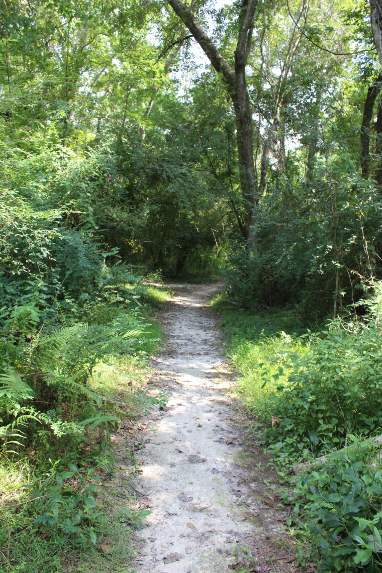 Six local hiking trails to traverse this fall - [225]