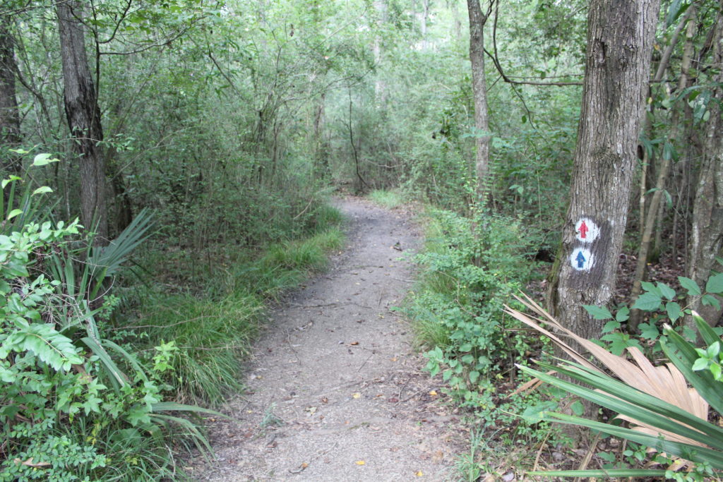 Six local hiking trails to traverse this fall - [225]