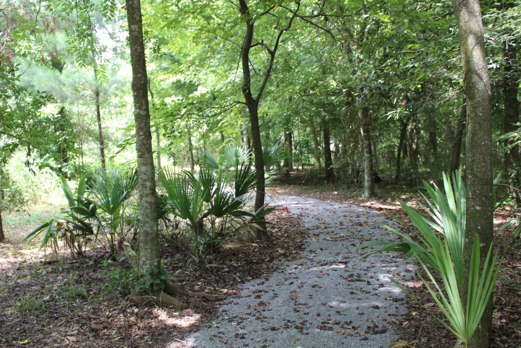 Six local hiking trails to traverse this fall - [225]