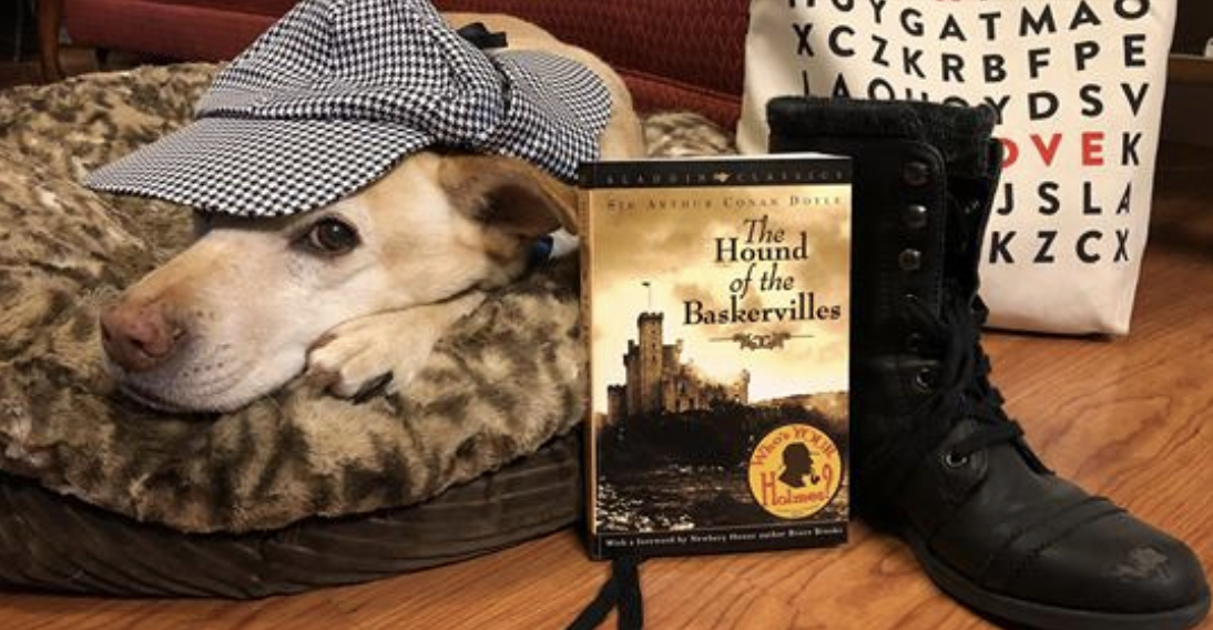 [Sponsored Content] A GHOSTLY HOUND AND A FAMILY CURSE: THE MYSTERY ...