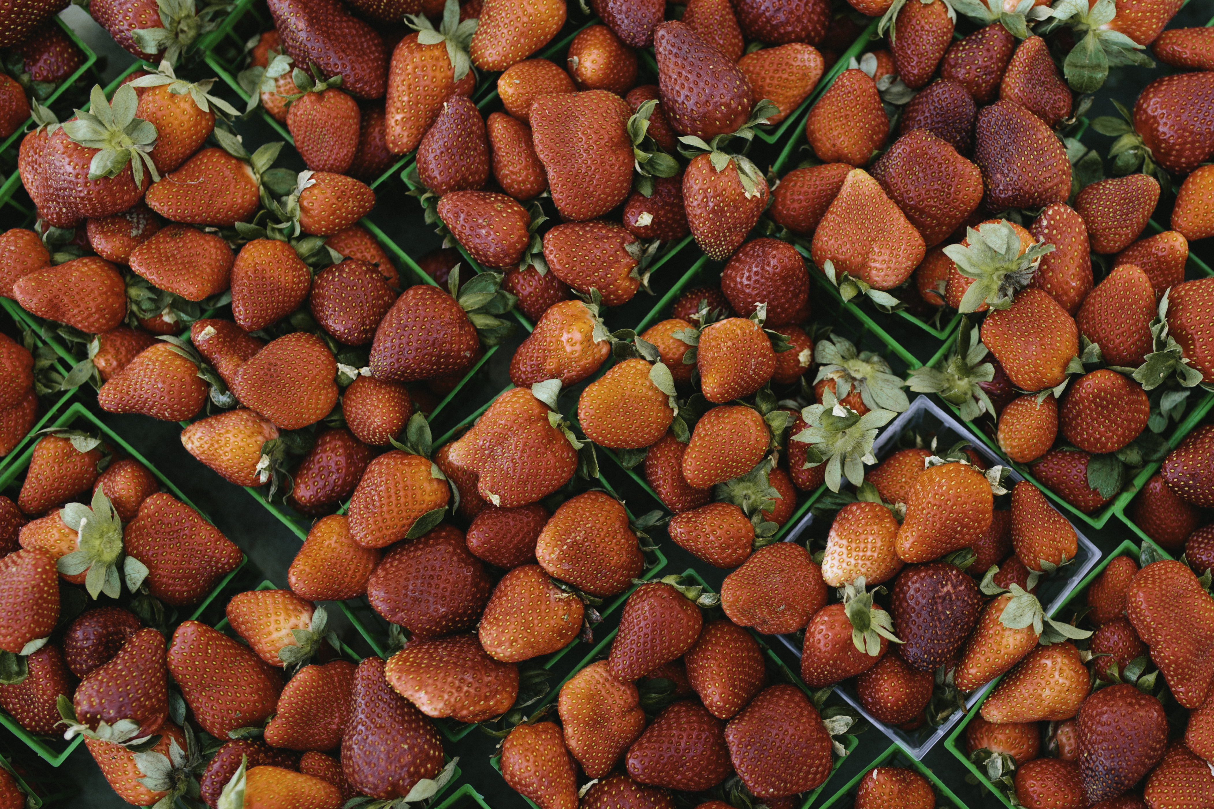 A guide to all things strawberry in Baton Rouge