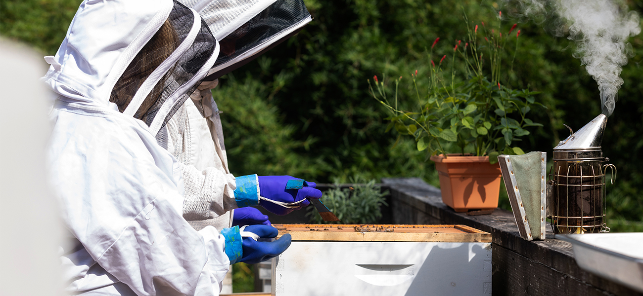 Basic Bee Shop’s Annie Laurie Thompson sells honey products harvested ...