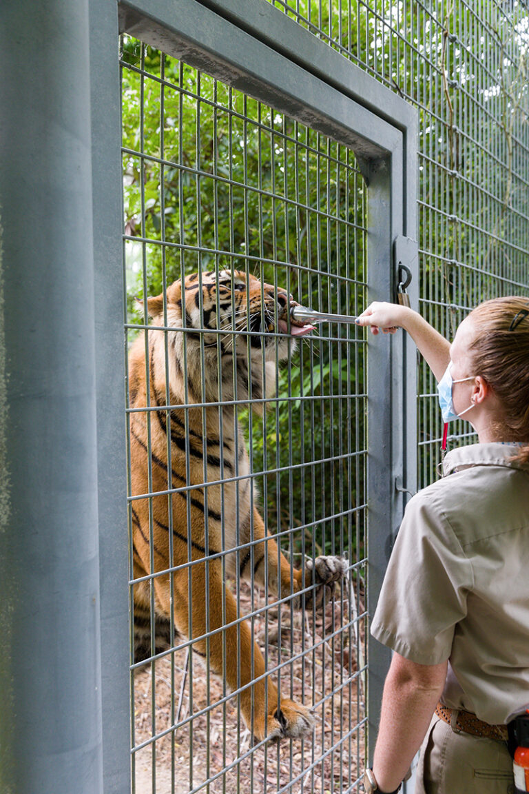 A day in the life of a zookeeper