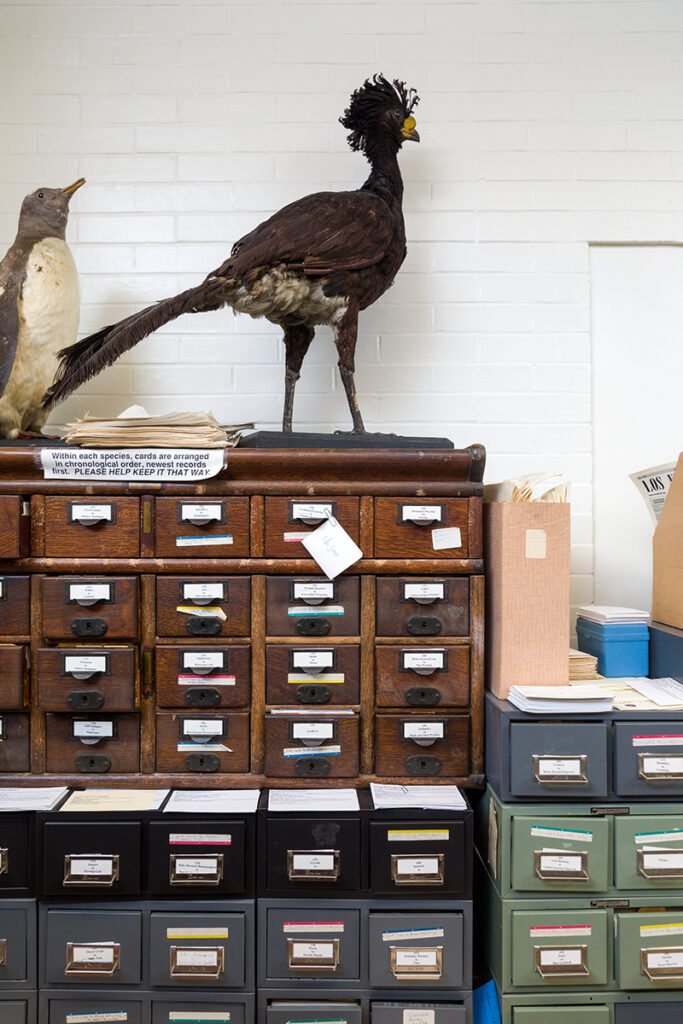 The LSU Museum of Natural Science is home to a world-renowned ...