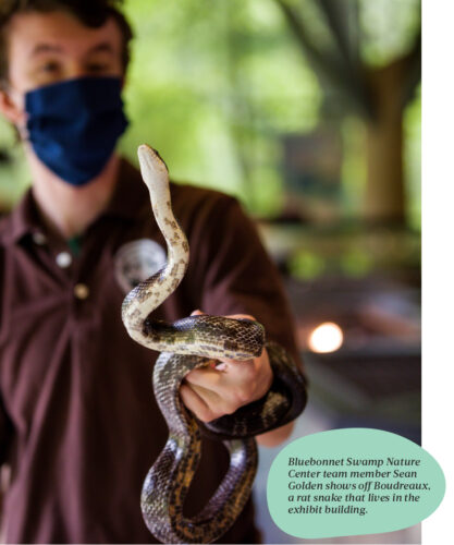 Bluebonnet Swamp Nature Center is a chance to become one with nature