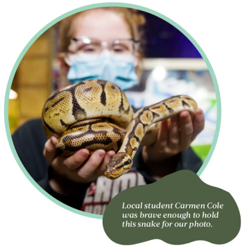 The Blue Zoo brings sea life, snakes, birds and more to a familiar ...