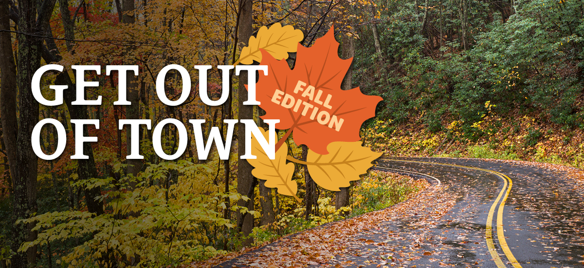 Where To Go This Fall - [225]