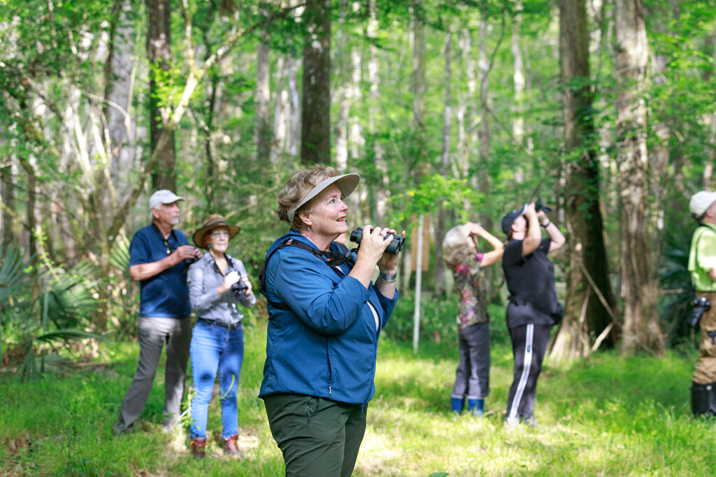 With more than 480 species wandering above us, Louisiana is a birder’s ...