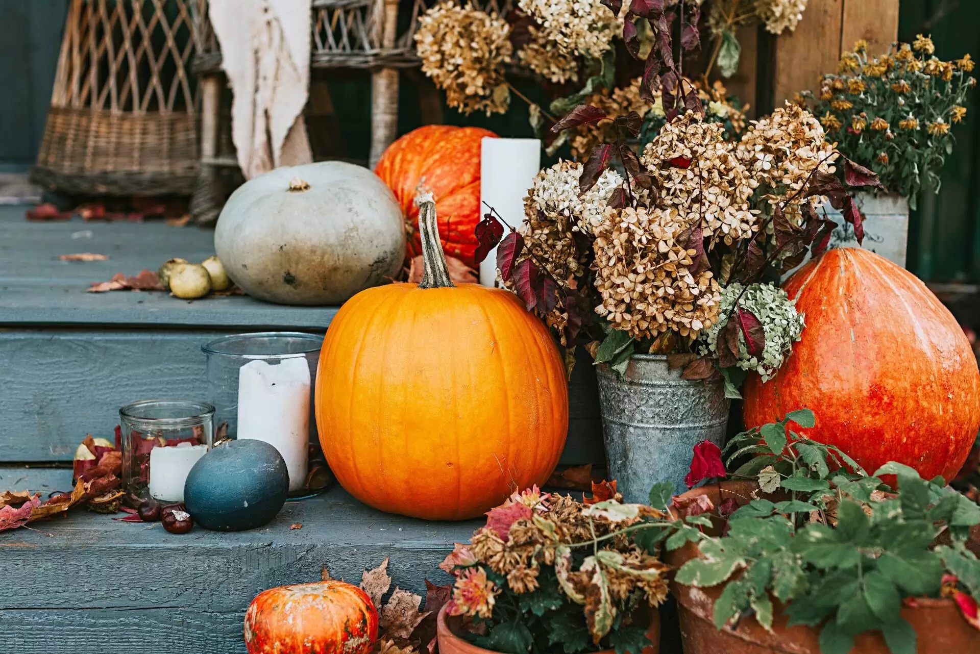 Cozy up your home with pumpkin spice-inspired décor, sponsored by Town ...
