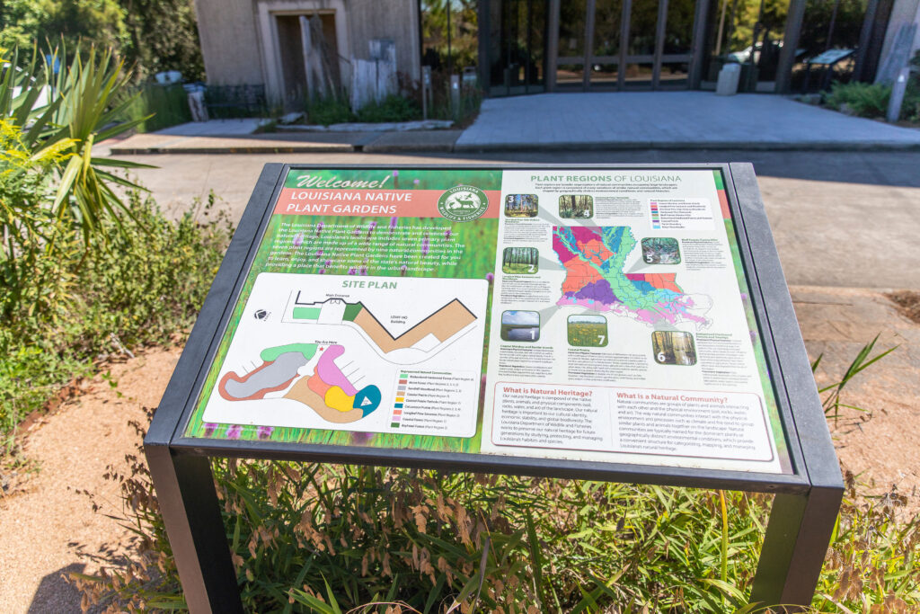 Local landscaping business turns to native plants in response to the ...