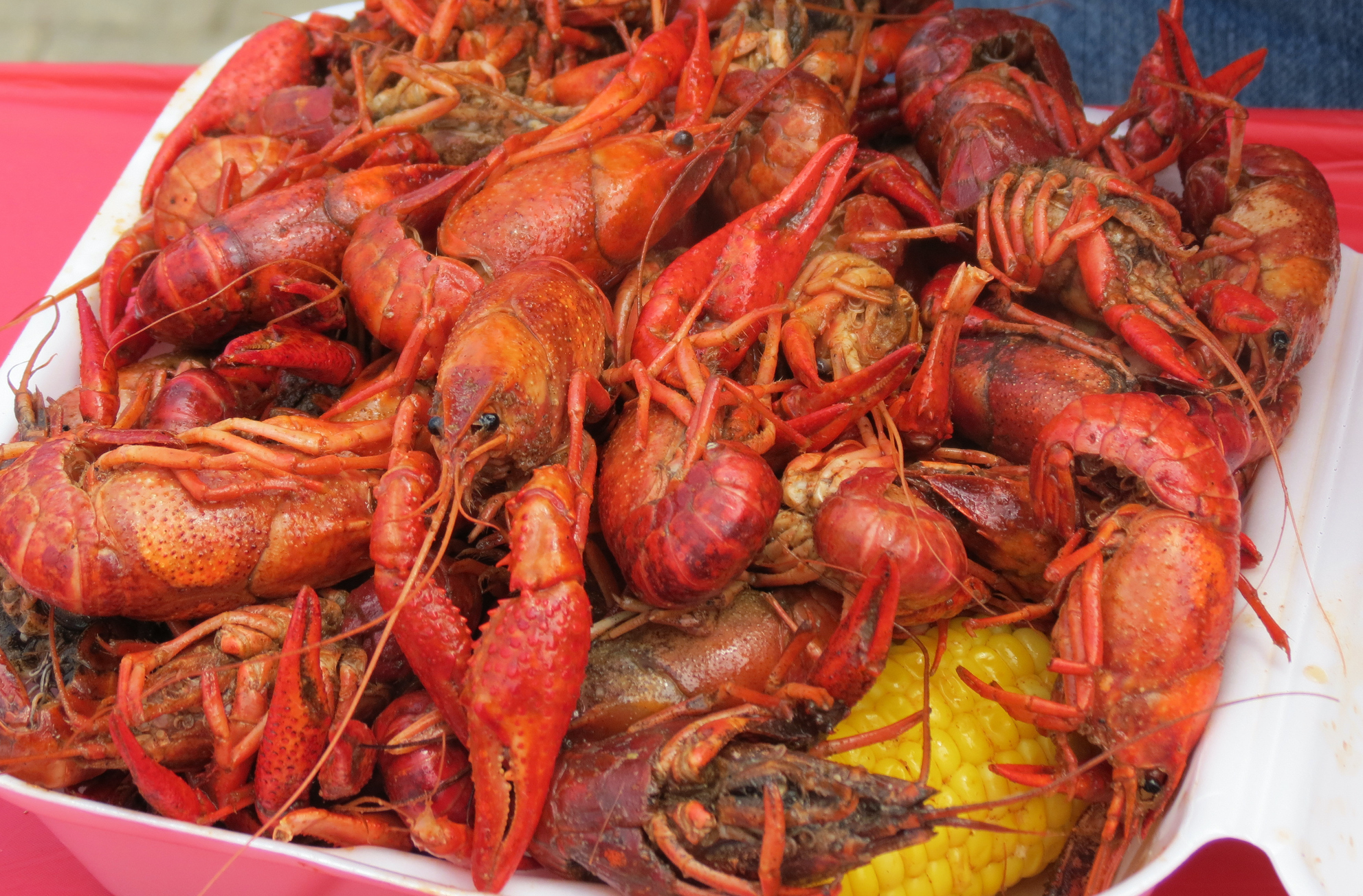 Things to do in Baton Rouge this weekend: Seafood, stargazing and zoo ...