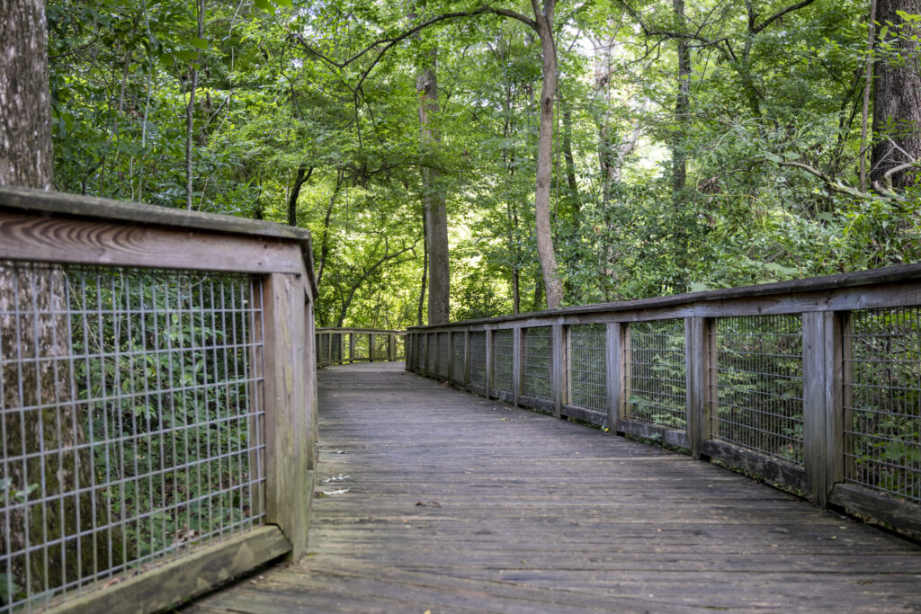 Hidden gem green spaces: Three to visit this summer in Baton Rouge