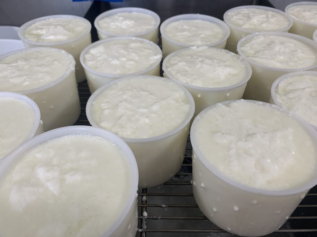 ‘Endangered’ Louisiana food Creole cream cheese is now available from ...