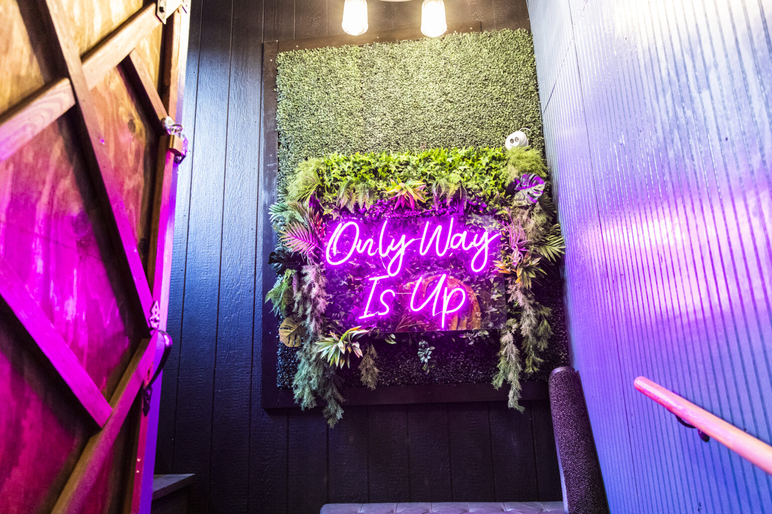 Neon signs are aglow in Baton Rouge. Here’s where to find them