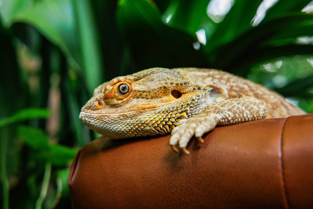 [225] - Events, entertainment, food, and fun in Baton Rouge