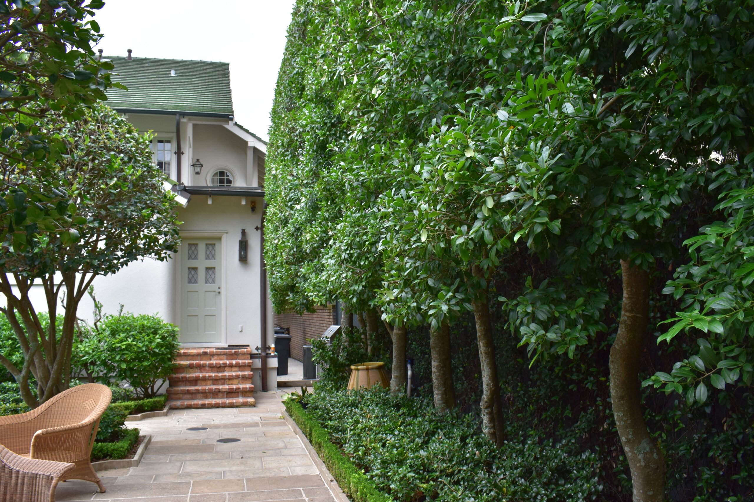 How proper tree care can help you maximize your curb appeal – and your ...