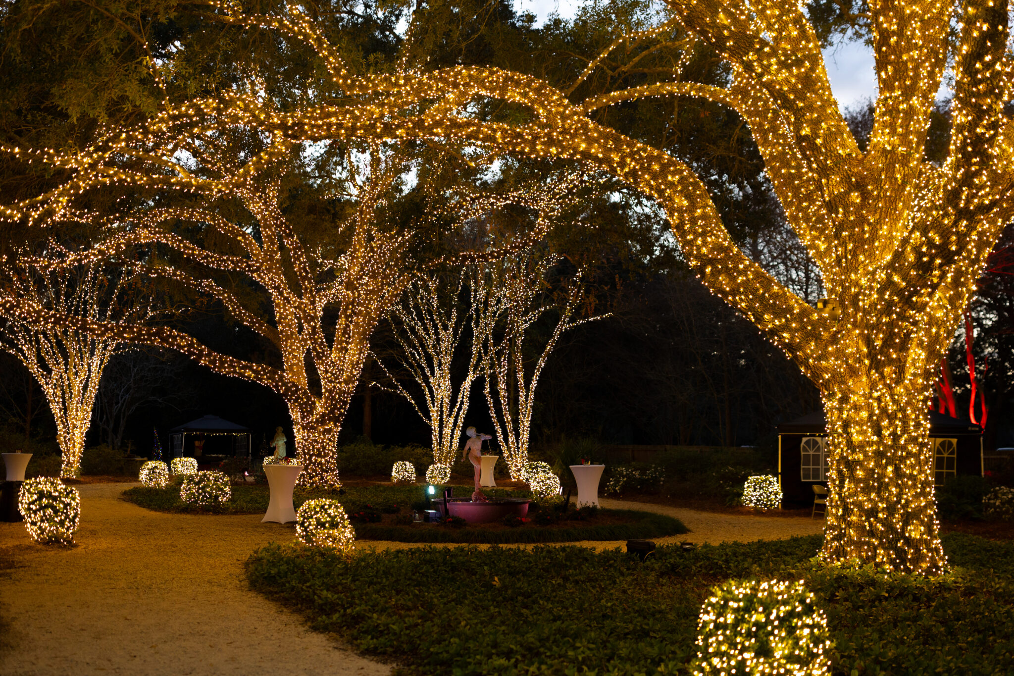 First looks inside Luna Cocina, Crafted Nibbles and more: 225‘s biggest ...