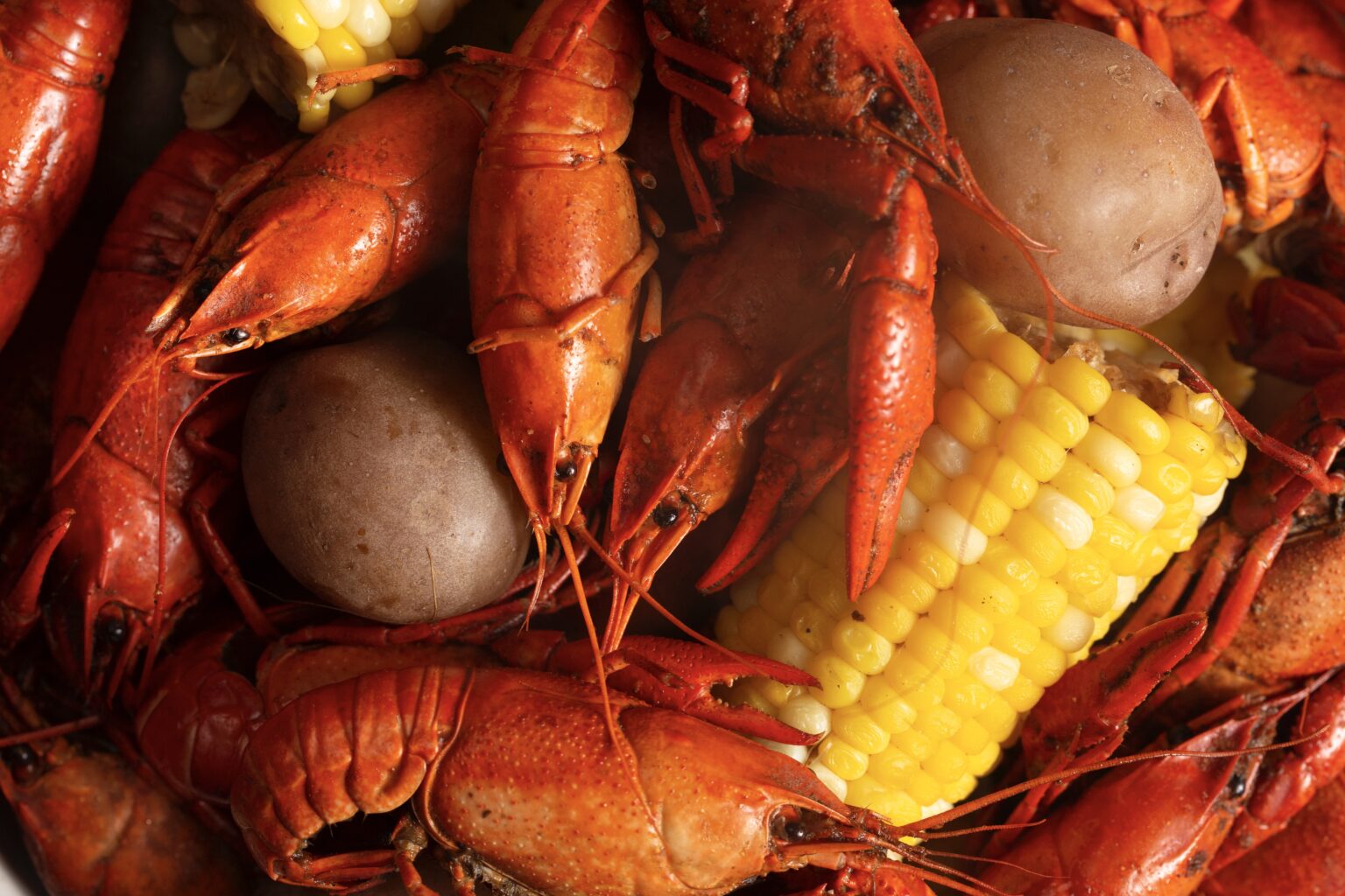 Spring 2025 crawfish outlook: How will last week’s winter storm affect ...