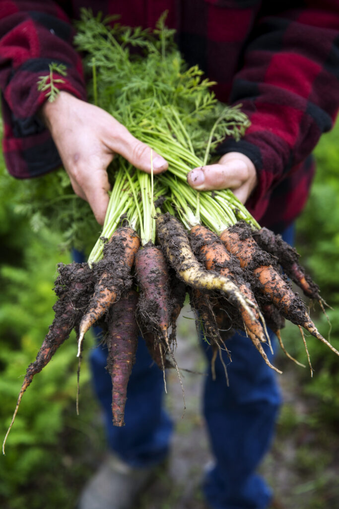 Husband-and-wife-run Fullness Farm celebrates 10 years of local ...