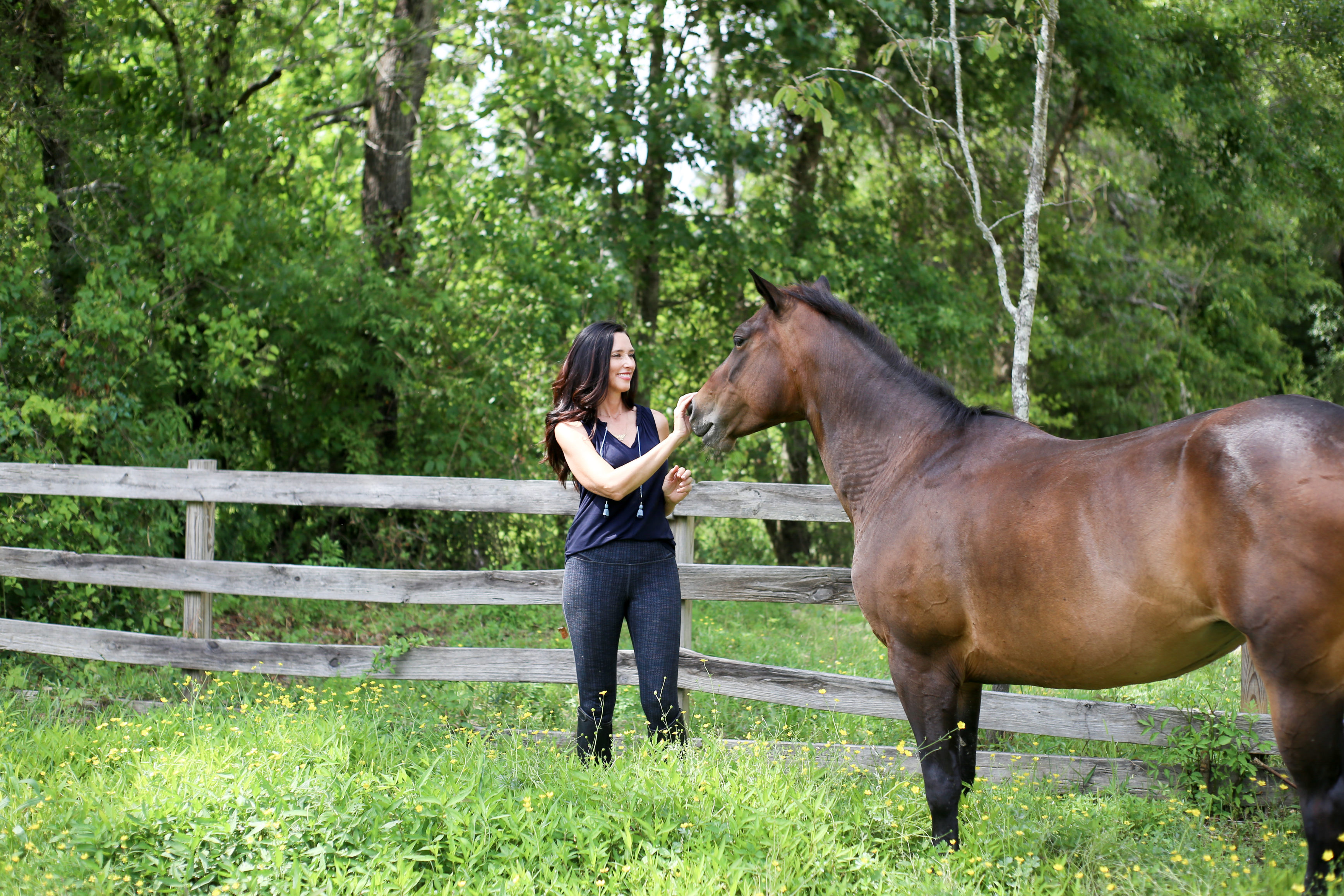 Wide open spaces: Horses of Hope provides healing for both humans and ...