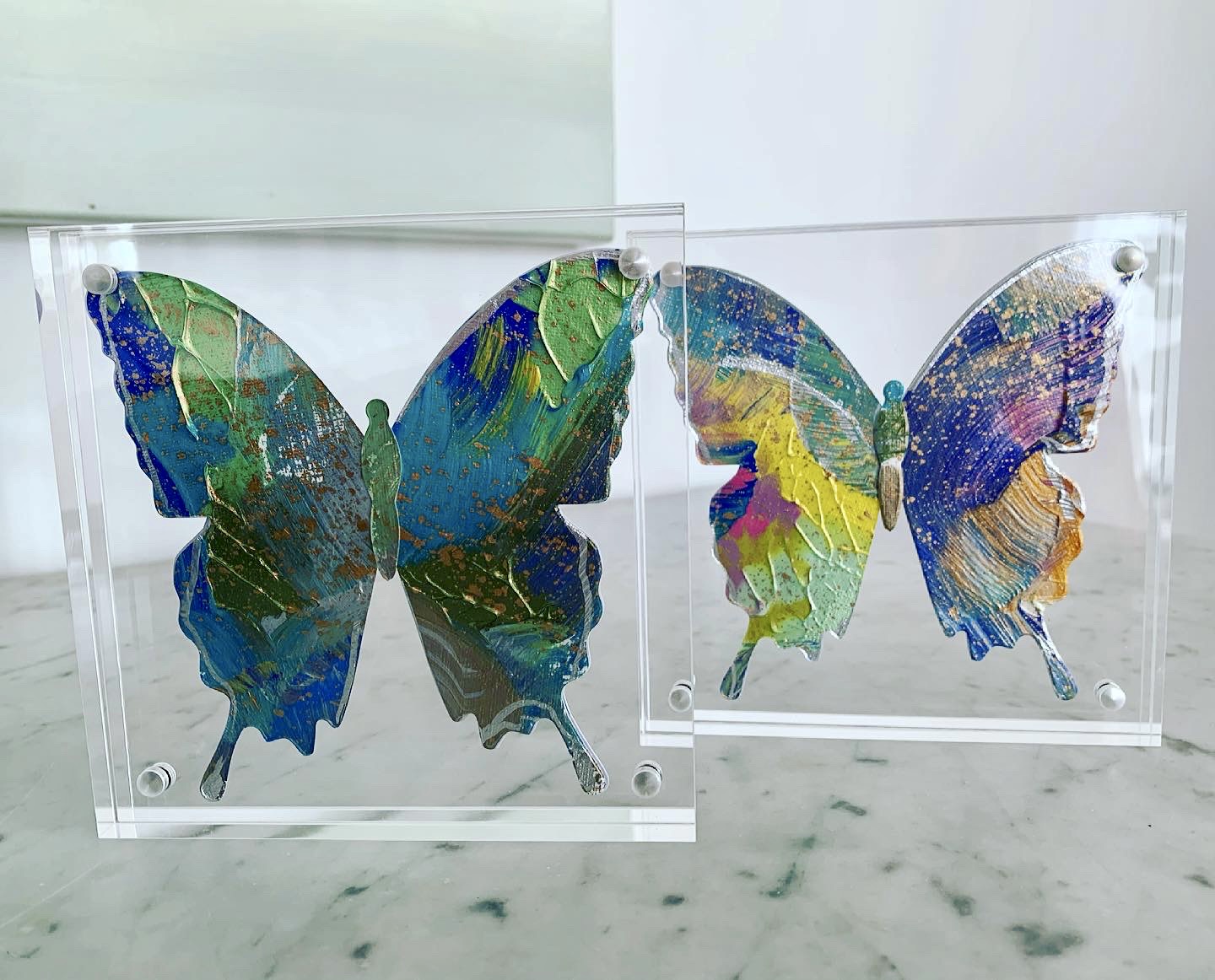 Spotted: Merritt Voitier’s butterfly art collection